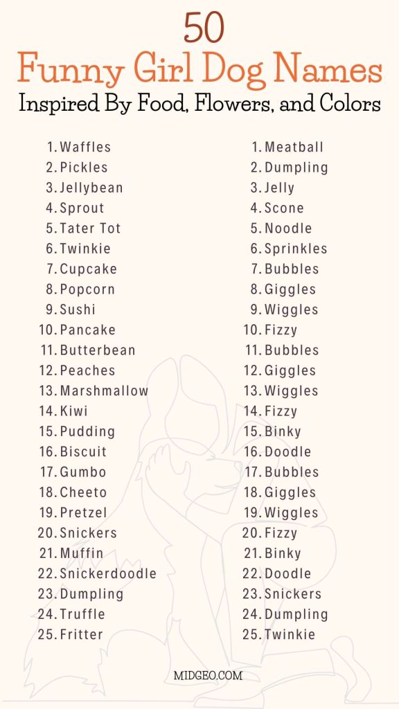 320 Cute Unique Funny Girl Dog Names
